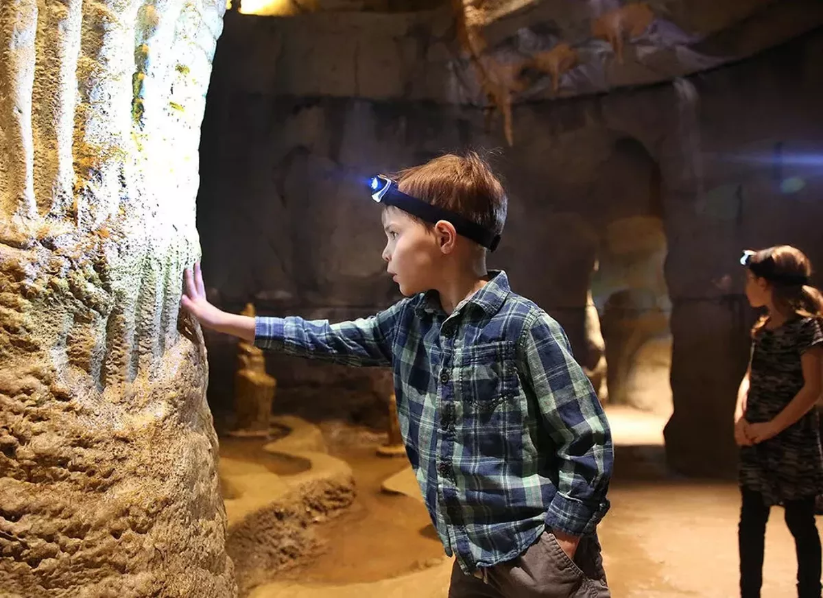 'The Cave' to Reopen at the Cincinnati Museum Center After Two and a ...